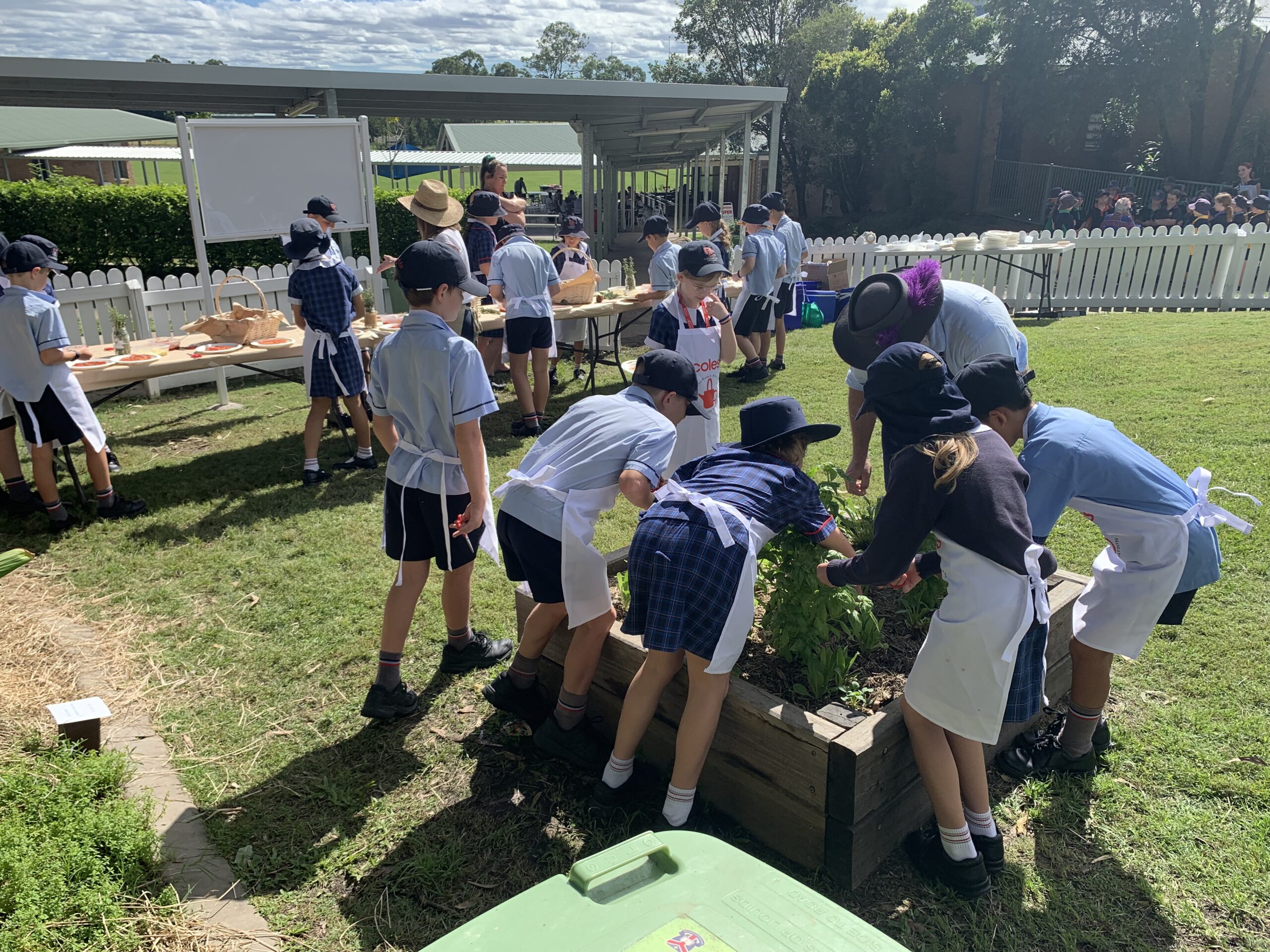 Years 3 & 4 Stephanie Alexander Kitchen Garden Pizza Day - Canterbury College