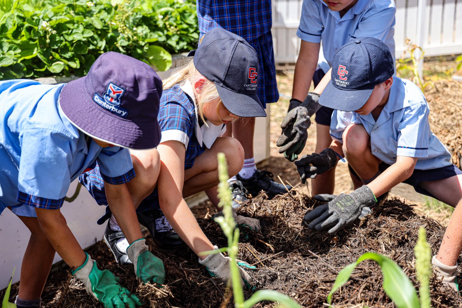 Kitchen Garden - Canterbury College