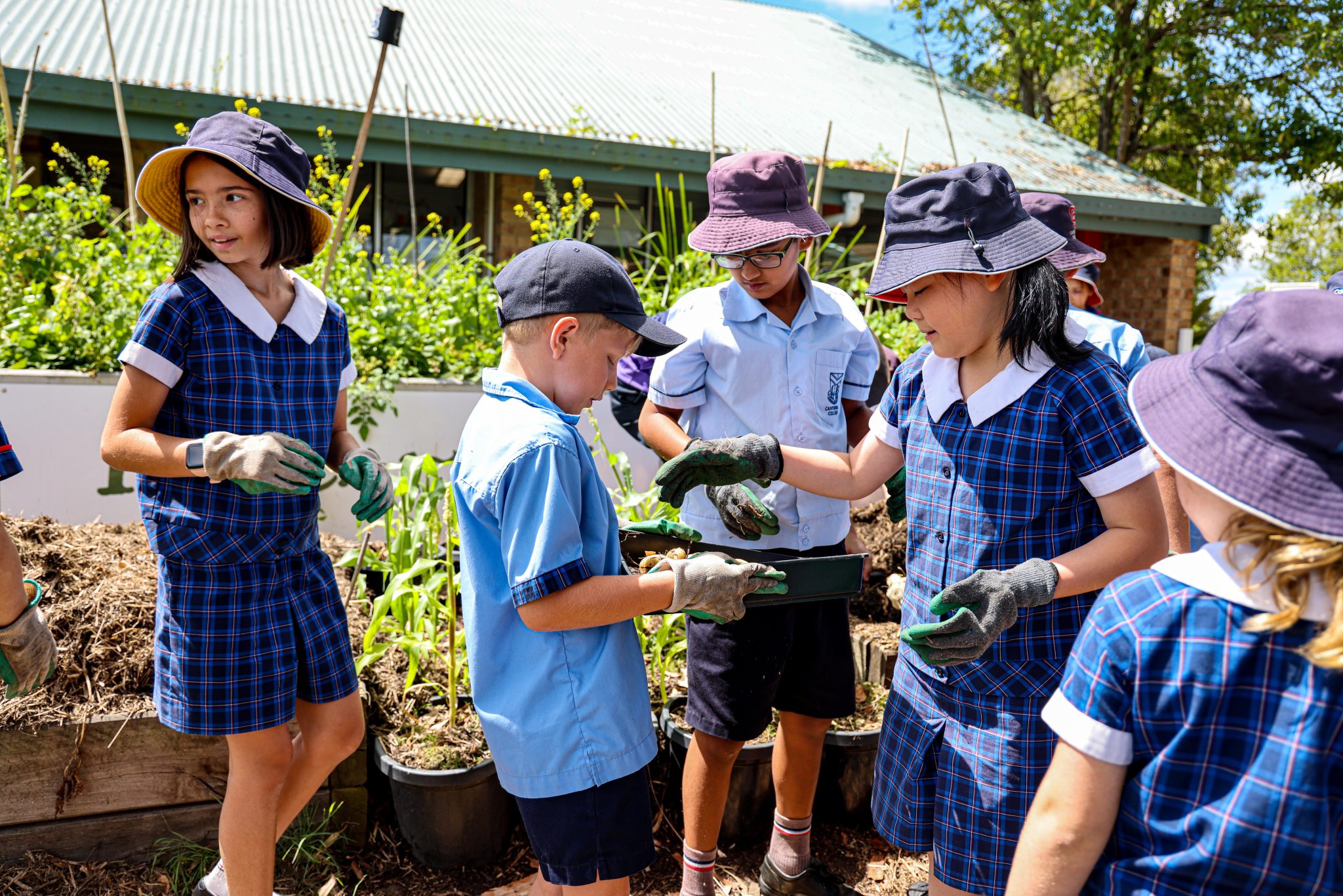Kitchen Garden - Canterbury College