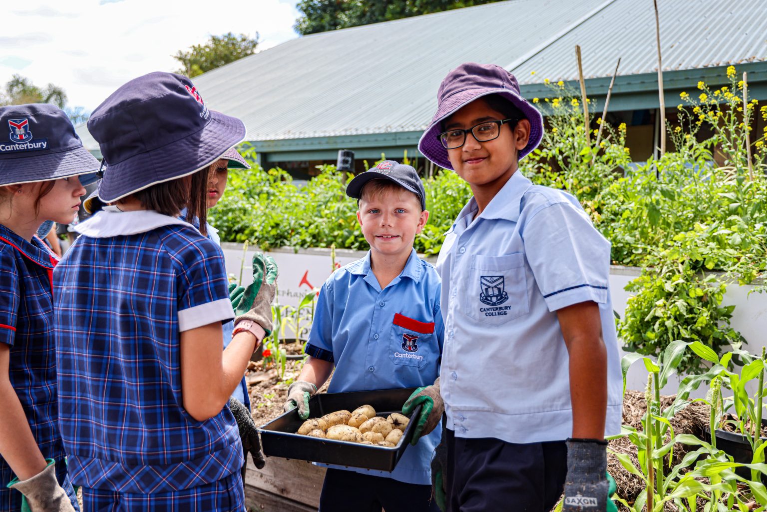 Kitchen Garden - Canterbury College