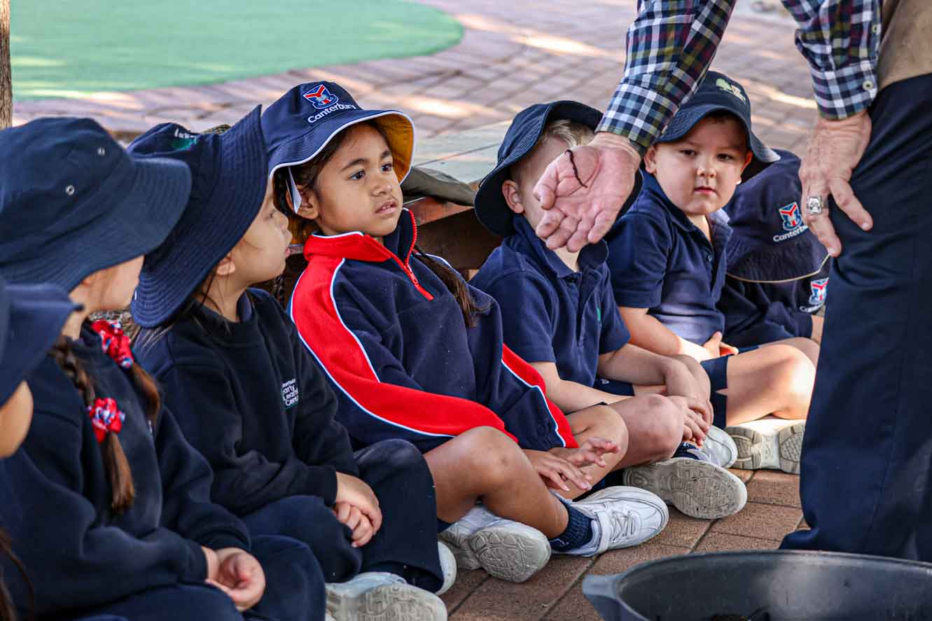 Worm Farm Wonders | ELC Kindergarten's Green-Thumbed Adventure ...