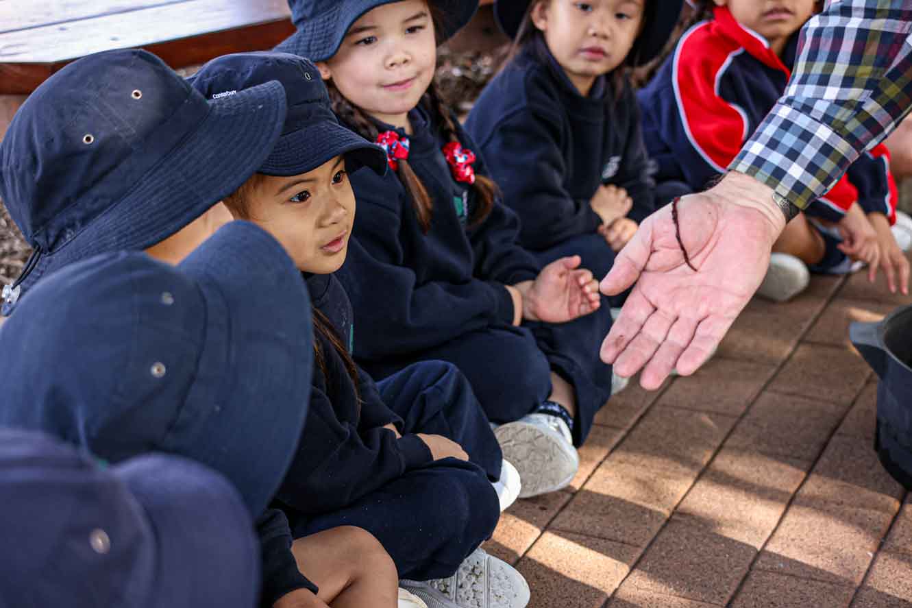 Worm Farm Wonders | ELC Kindergarten's Green-Thumbed Adventure ...