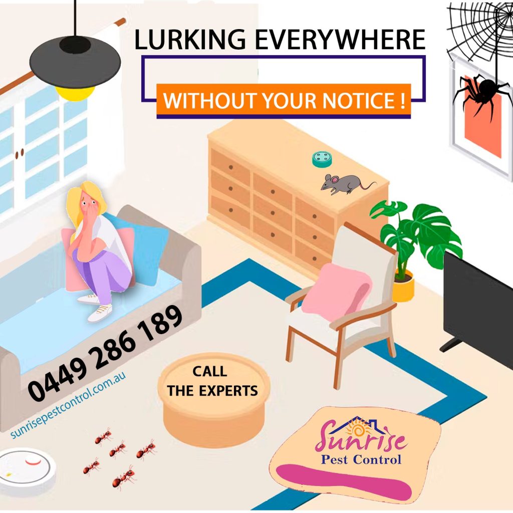 Sunrise Pest Control Services - Canterbury College