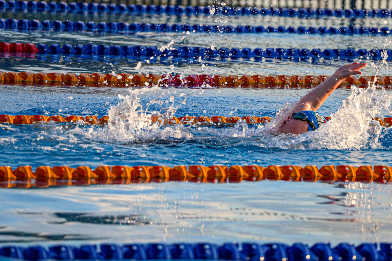 Canterbury Swimming - College & Taipans Club - Canterbury College