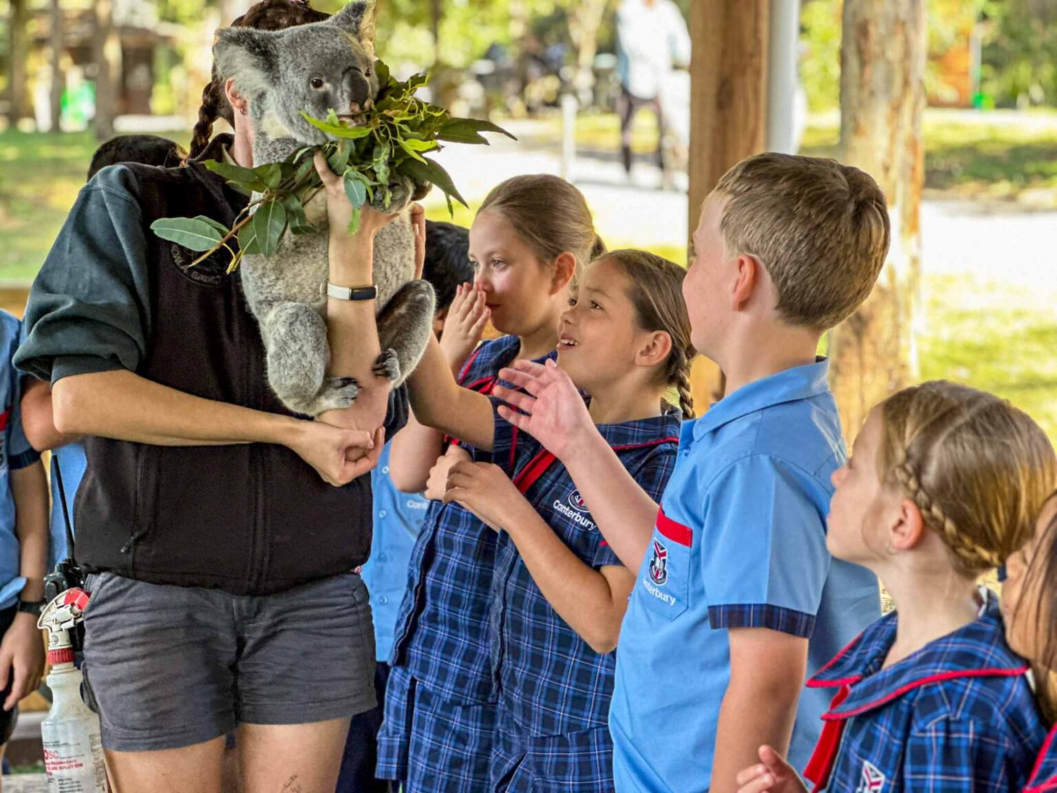 2024 Year 3 Science Excursion - Lone Pine Koala Sanctuary | Photo Gallery Now Available ...