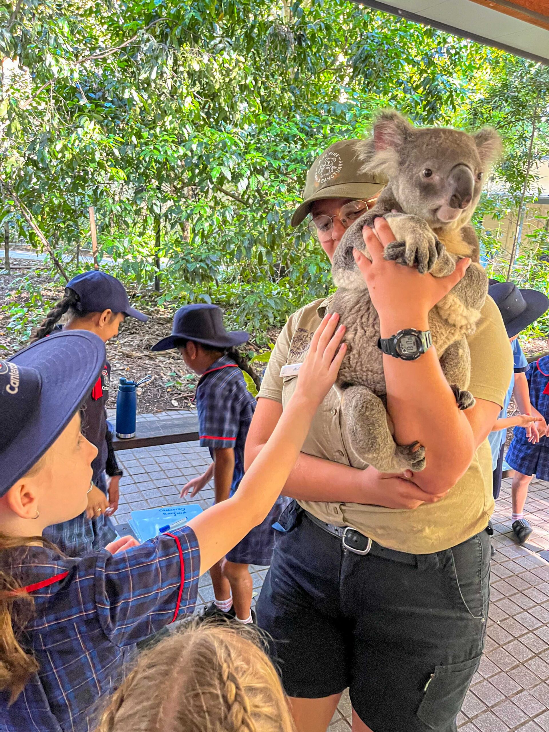 Year 3 Science Excursion to Lone Pine Koala Sanctuary | Photo Gallery - Canterbury College
